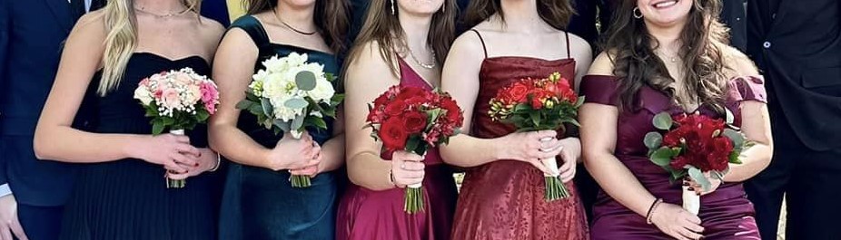 Pre-Prom Primer and Special Occasion Reminders – Northern Virginia ...